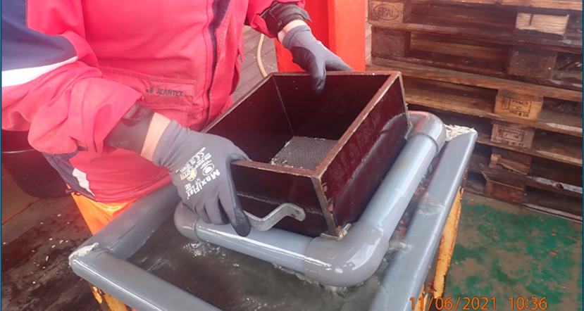 North Sea Environment